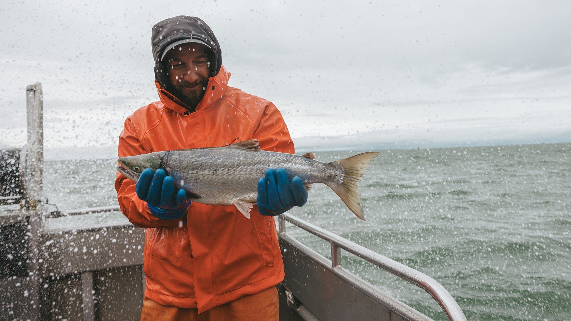 From The Wild – Wild For Salmon