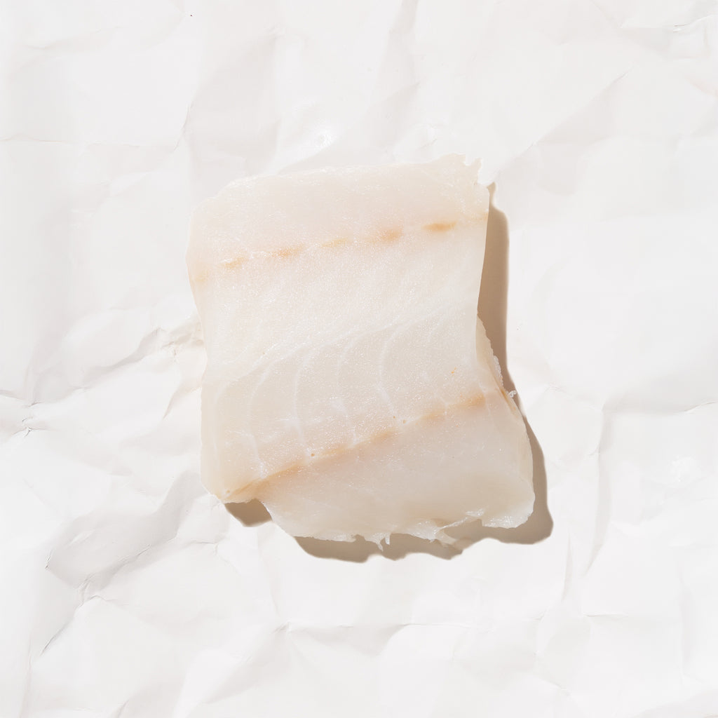 Ling Cod – Wild For Salmon
